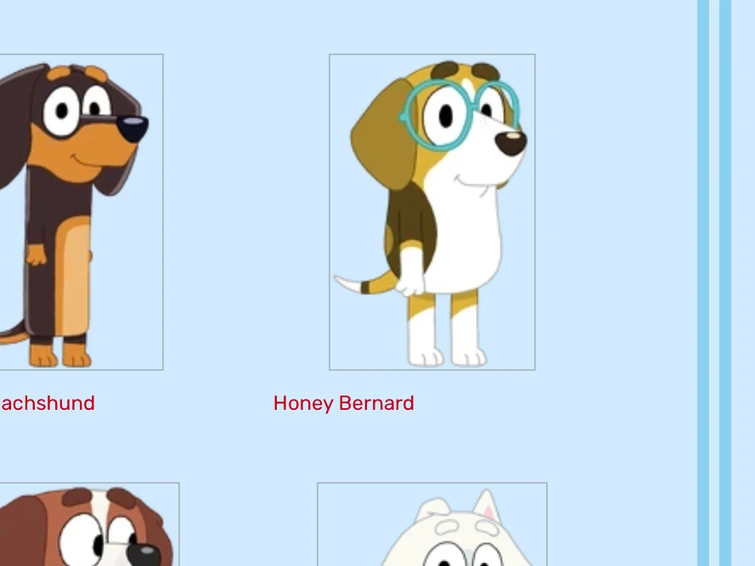 Discuss Everything About Bluey: Extended Timeline Wiki | Fandom