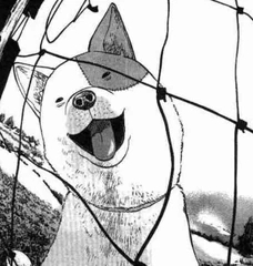 Beck Gallery | BECK - Mongolian Chop Squad Wiki | Fandom