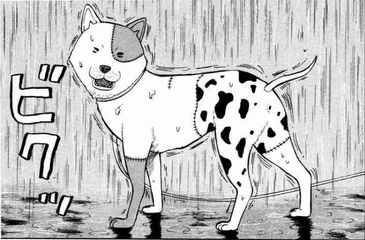 Beck Gallery | BECK - Mongolian Chop Squad Wiki | Fandom