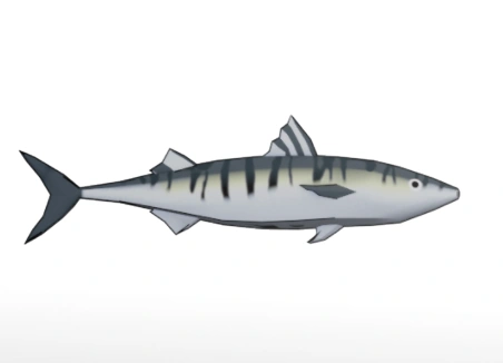Mackerel | Become A Deep Sea Explorer Wiki | Fandom