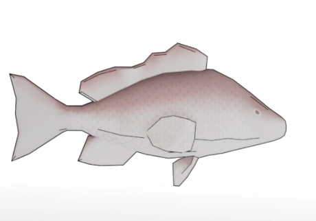 Red Snapper | Become A Deep Sea Explorer Wiki | Fandom