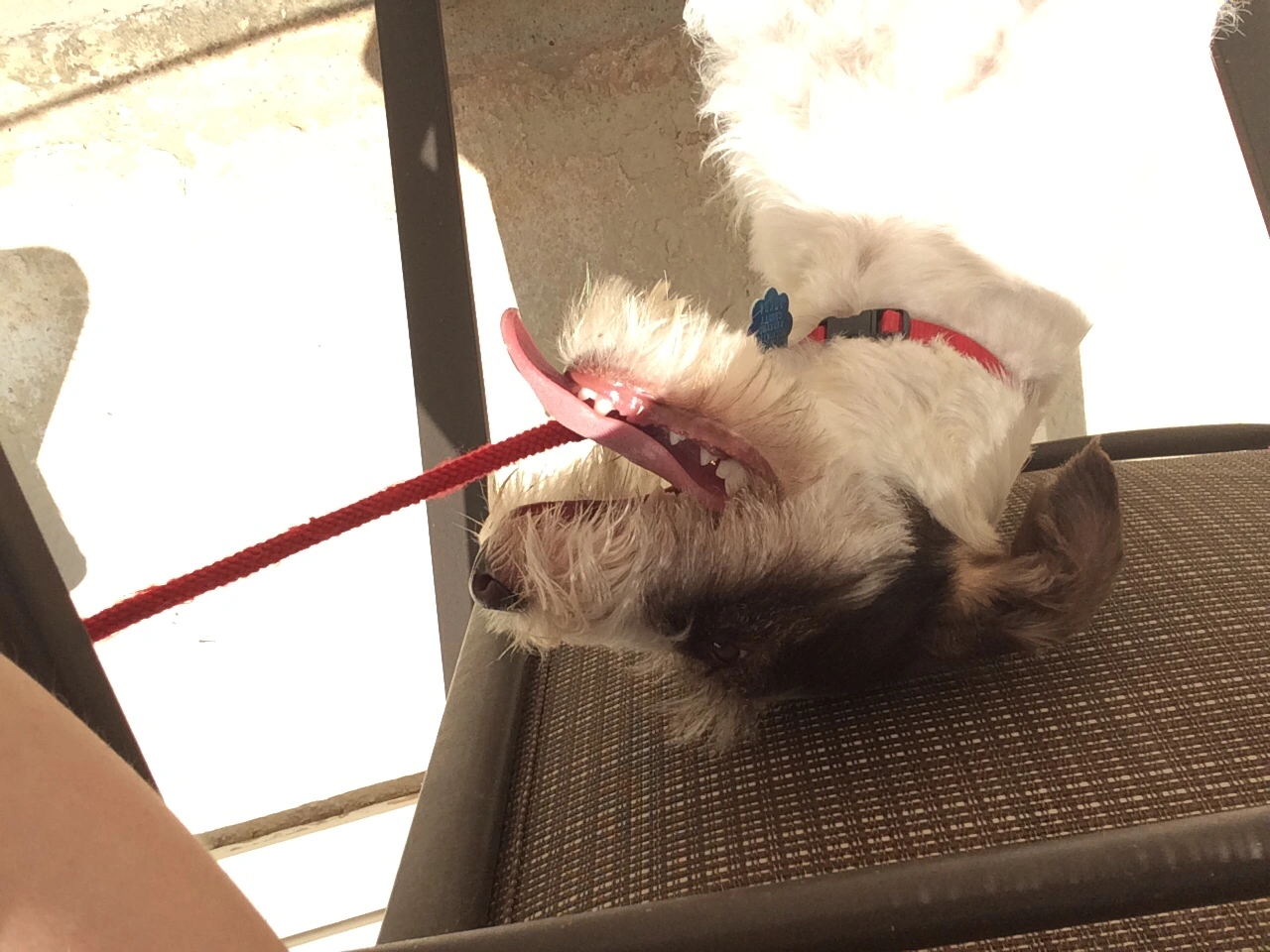 Had Some Fun With Milo Today | Fandom