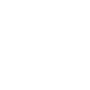 Basic Bee | Bee Swarm Simulator Wiki | Fandom