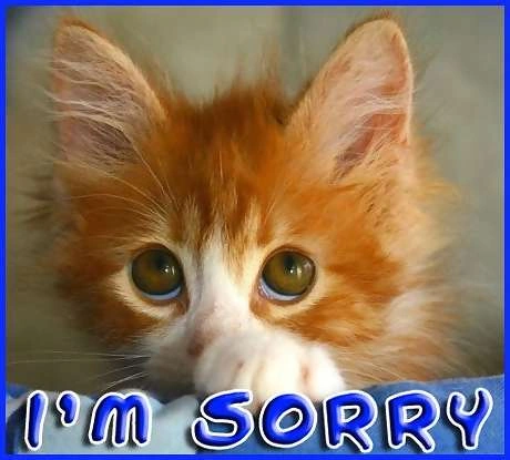 BBM's Apology | Bee Swarm Simulator Wiki | Fandom