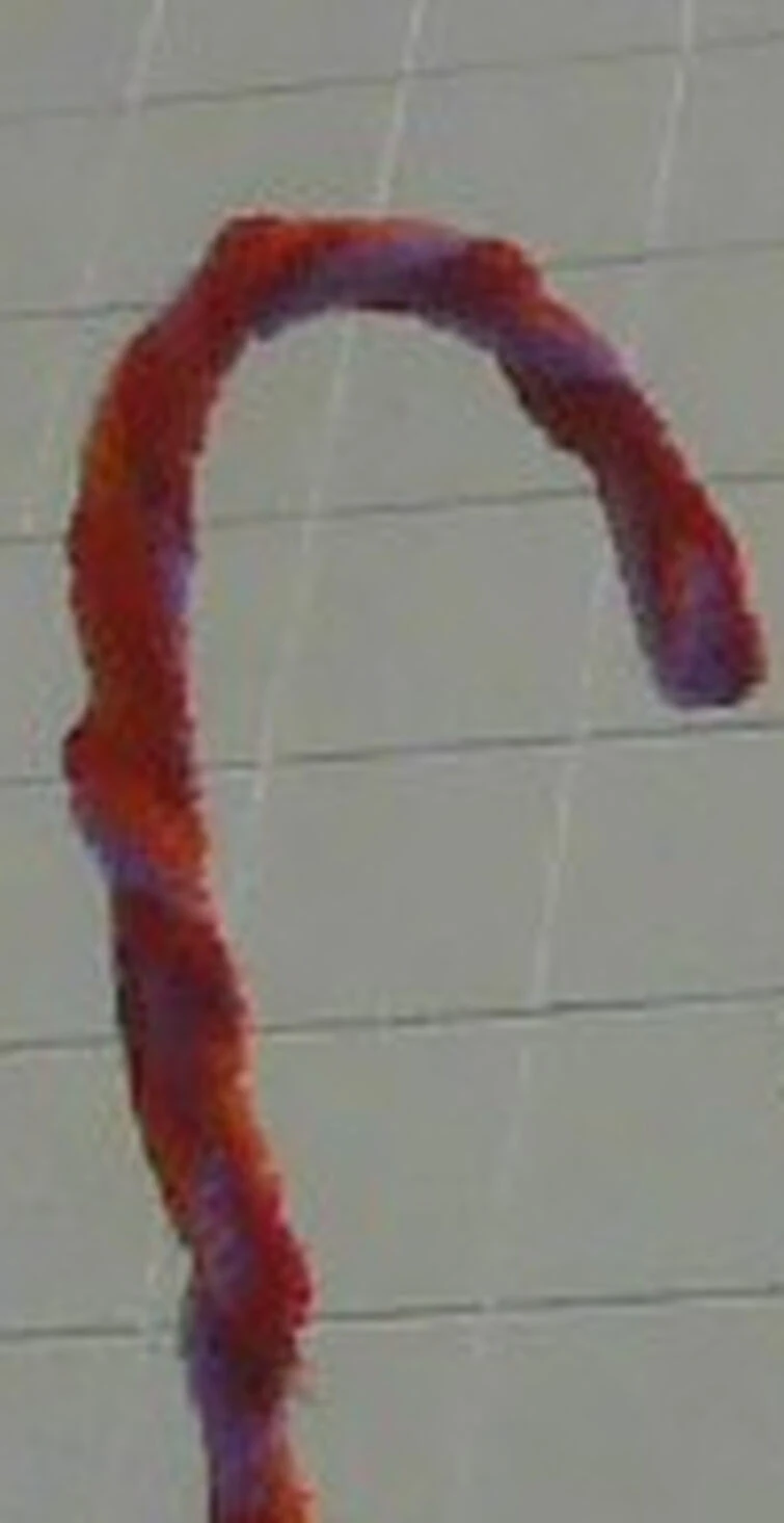 User blog:Doggyman45333BSS/Candy Cane | Bee Swarm Simulator Wiki | Fandom