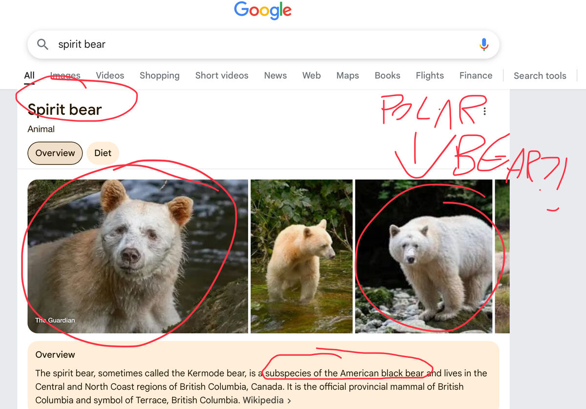 User Blogepicodashspit Bear Bee Swarm Simulator Wiki Fandom