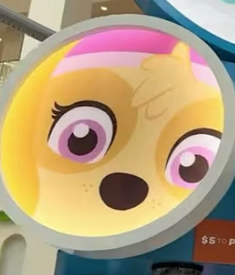 Skye in Nickelodeon universe theme park | Fandom