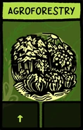 Ecosystems cards | Beecarbonize Wiki | Fandom