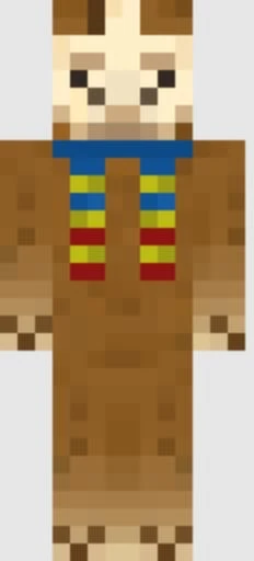 Nayan Nesku | Wiki BeecraftSMP | Fandom