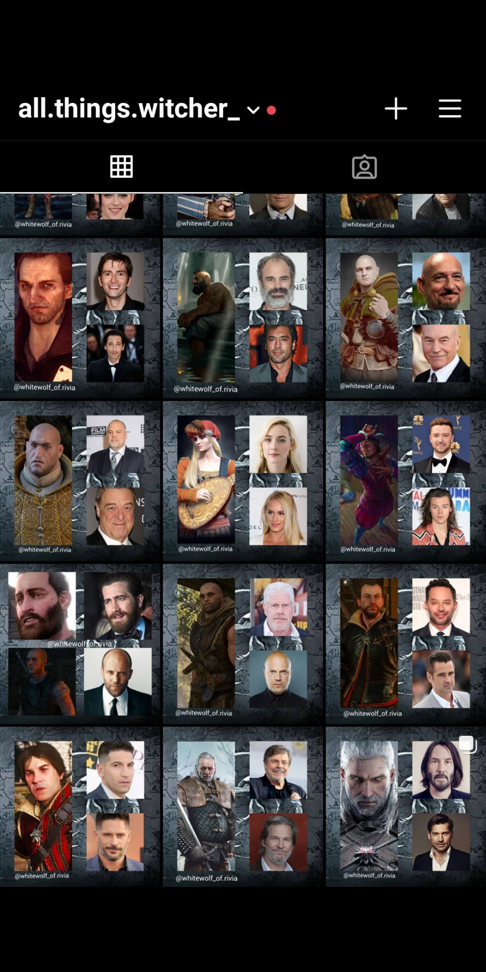 My Witcher 3 Fancast | Fandom