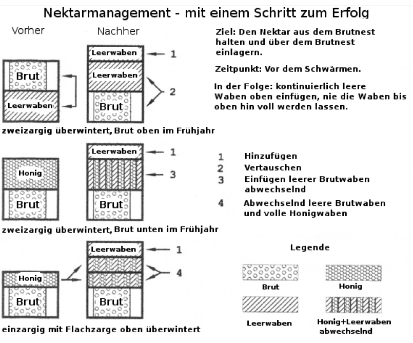 Checkerboarding | Bee Free Wiki | Fandom
