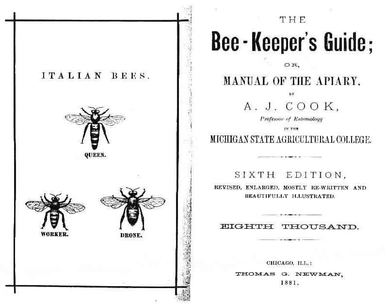 The Bee Keeper´s Guide or Manual of the Apiary | Apicultura Wiki | Fandom
