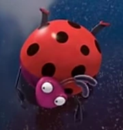 Ladybug | Beemovie Wiki | Fandom
