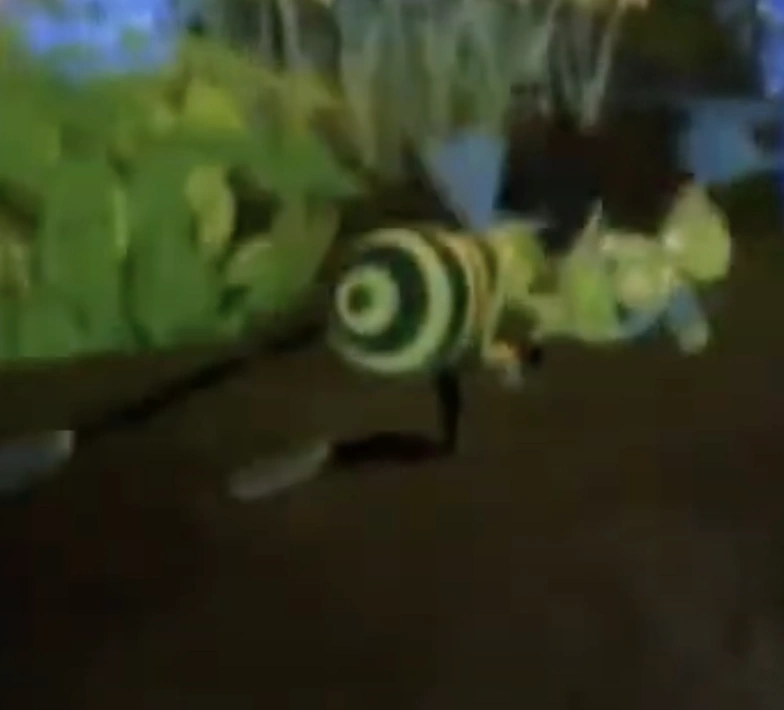 Pollinator | Beemovie Wiki | Fandom