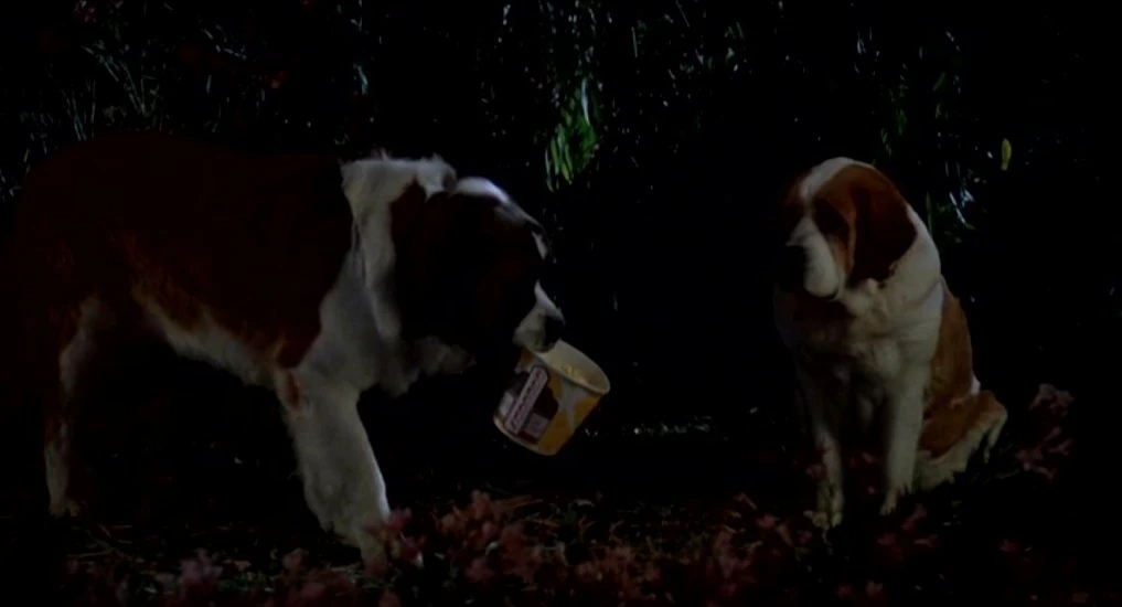 Beethoven (character) | Beethoven Wiki | Fandom