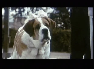 Beethoven (character) | Beethoven Wiki | Fandom