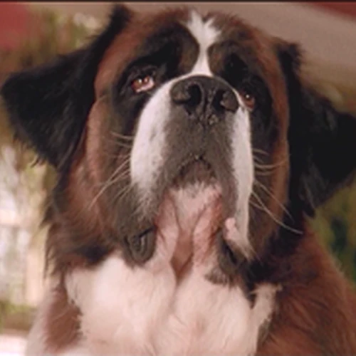 Beethoven 3 Movie