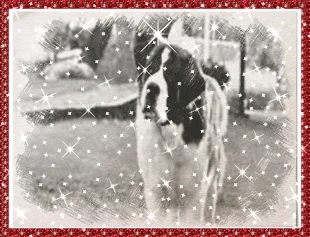 Beethoven (character) | Beethoven Wiki | Fandom