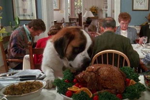 Beethoven (character) | Beethoven Wiki | Fandom