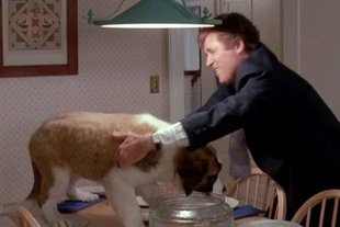 Beethoven (character) | Beethoven Wiki | Fandom