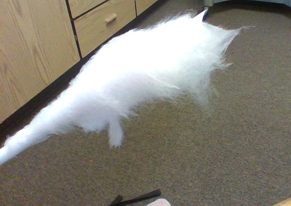 COTTON CANDY!!!! | Fandom