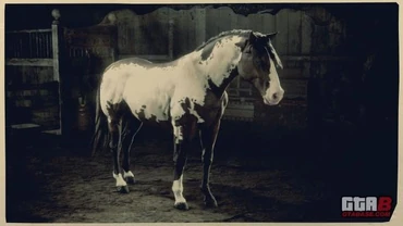 Discuss Everything About Red Dead Wiki | Fandom