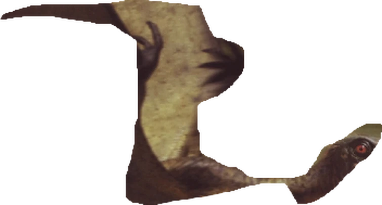 Dinopedia guesses the species of pterosaurs that appeared in walking ...