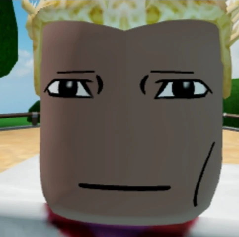 i have so many closeups of roblox faces | Fandom
