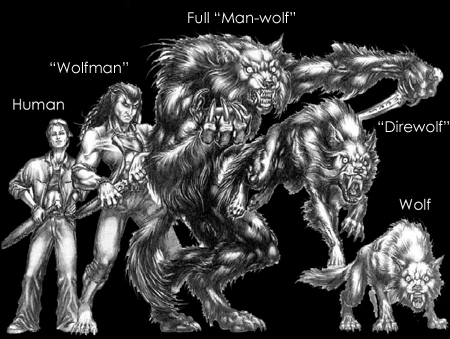 Werewolf Vs Wolfman
