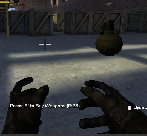 Bugs | BeGone Wiki | Fandom