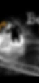 Beholder: Conductor — Beholder Wiki