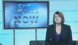 News Reporter | Being Human Wiki | Fandom