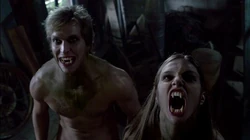 Werewolf Transformation Being Human