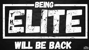 Being The Elite Wiki | Fandom