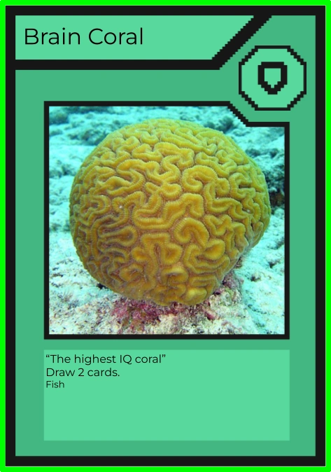 Brain Coral | Belectonic Arts Official Wiki | Fandom