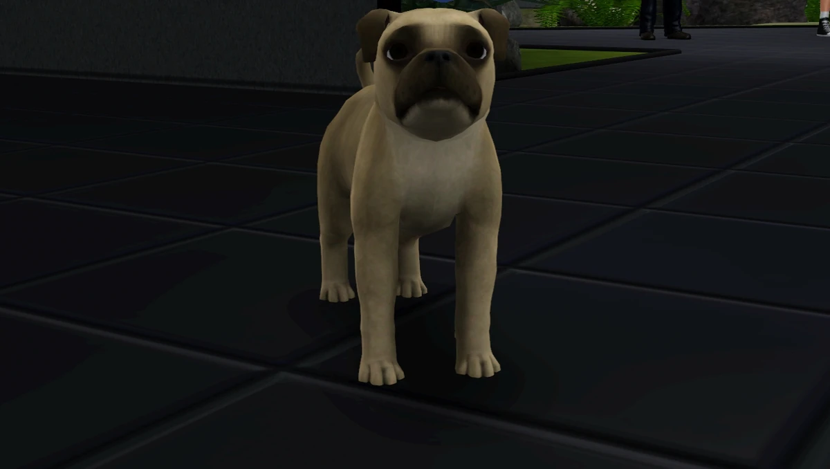 Kendall (Dog) | Bellamy/Megpoid Wiki | Fandom