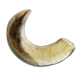 Boar Tusk | Bellwright Wiki | Fandom