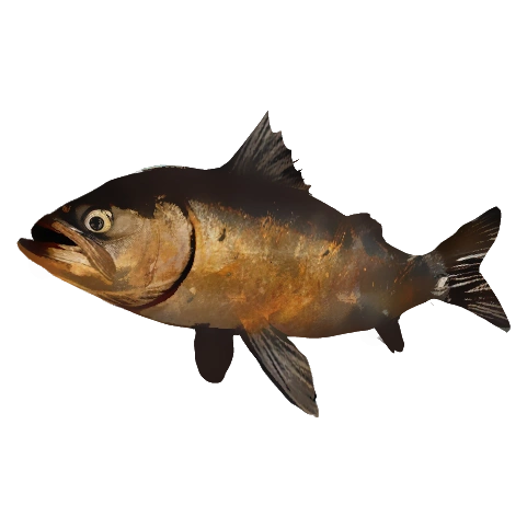 Smoked Fish Fillet | Bellwright Wiki | Fandom