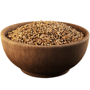wheat seeds bellwright