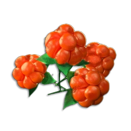 Cloudberry | Bellwright Wiki | Fandom