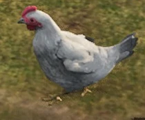 Chicken | Bellwright Wiki | Fandom