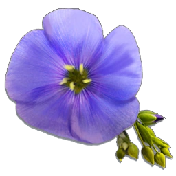 Flax | Bellwright Wiki | Fandom