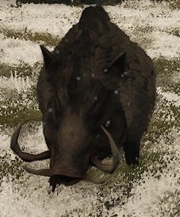 Boar | Bellwright Wiki | Fandom