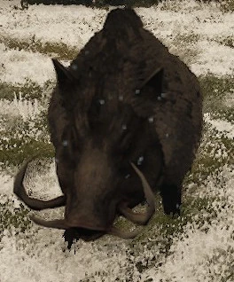 Boar | Bellwright Wiki | Fandom