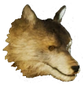Wolf Trophy | Bellwright Wiki | Fandom