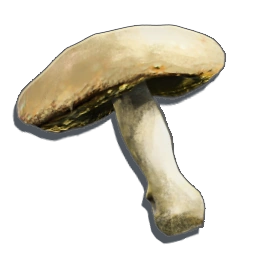 Mushroom | Bellwright Wiki | Fandom