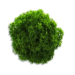 Mosses | Bellwright Wiki | Fandom