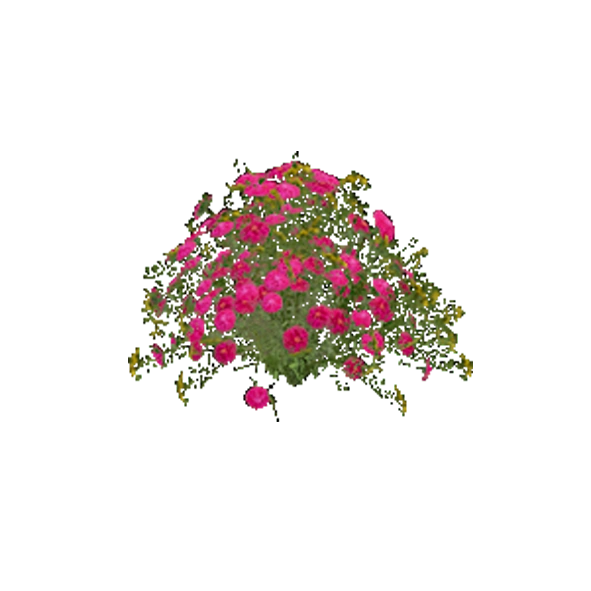 Blossomveil Bush | Bellwright Wiki | Fandom