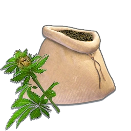 Hemp Seeds | Bellwright Wiki | Fandom