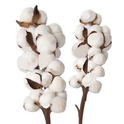 Cotton | Bellwright Wiki | Fandom